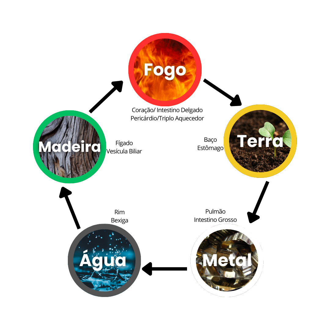 Os Cinco Elementos na Medicina Tradicional Chinesa - Anna Bedene Acupuntura
